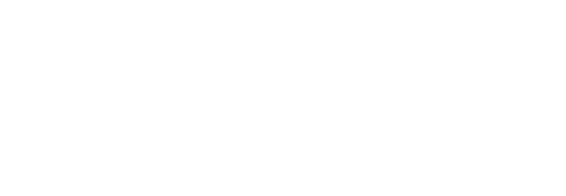 What To Expect – Priority Paws